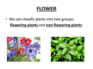 Parts of the plant | PPTX
