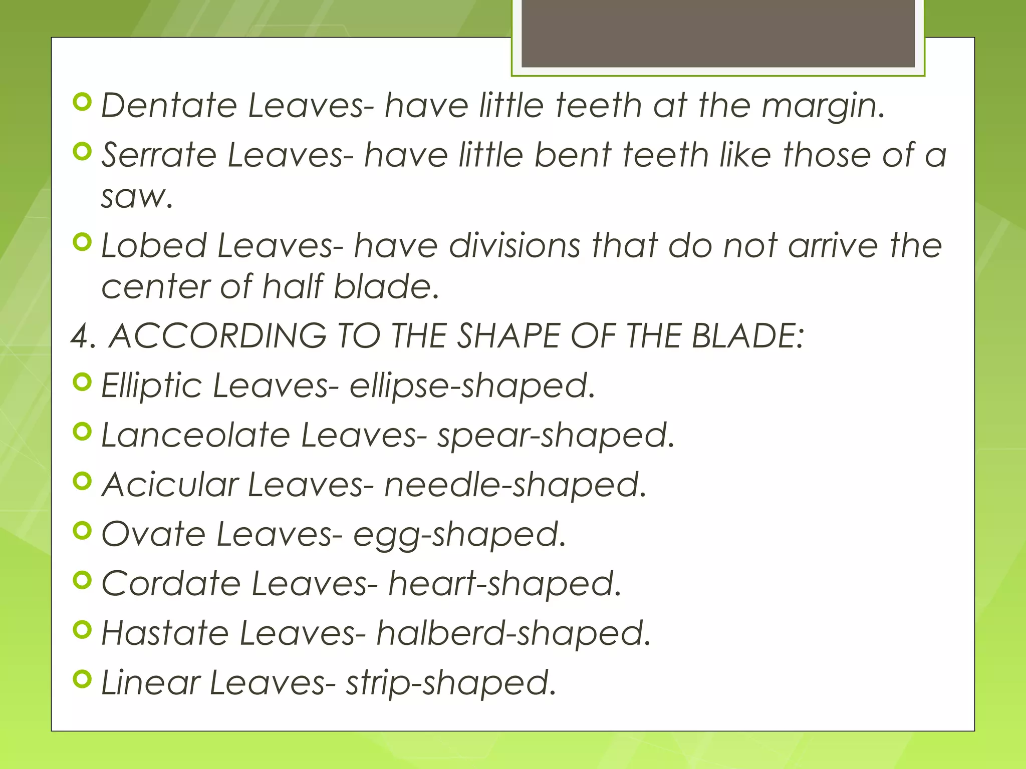 Parts of the plant and their functions | PPT
