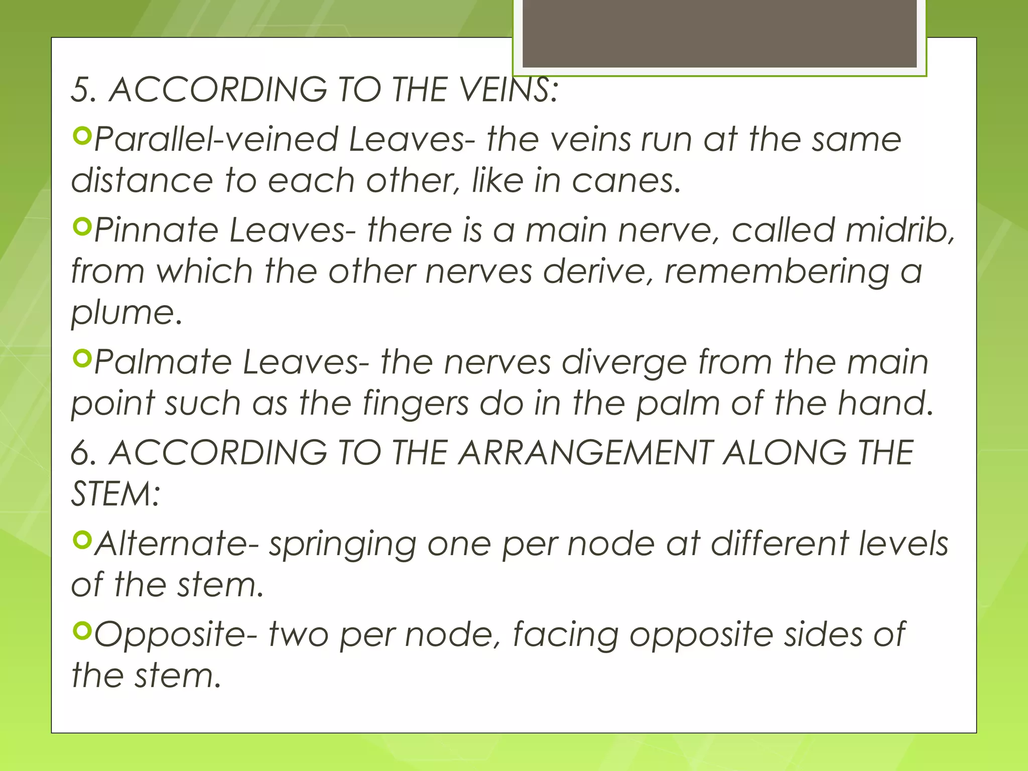 Parts of the plant and their functions | PPT