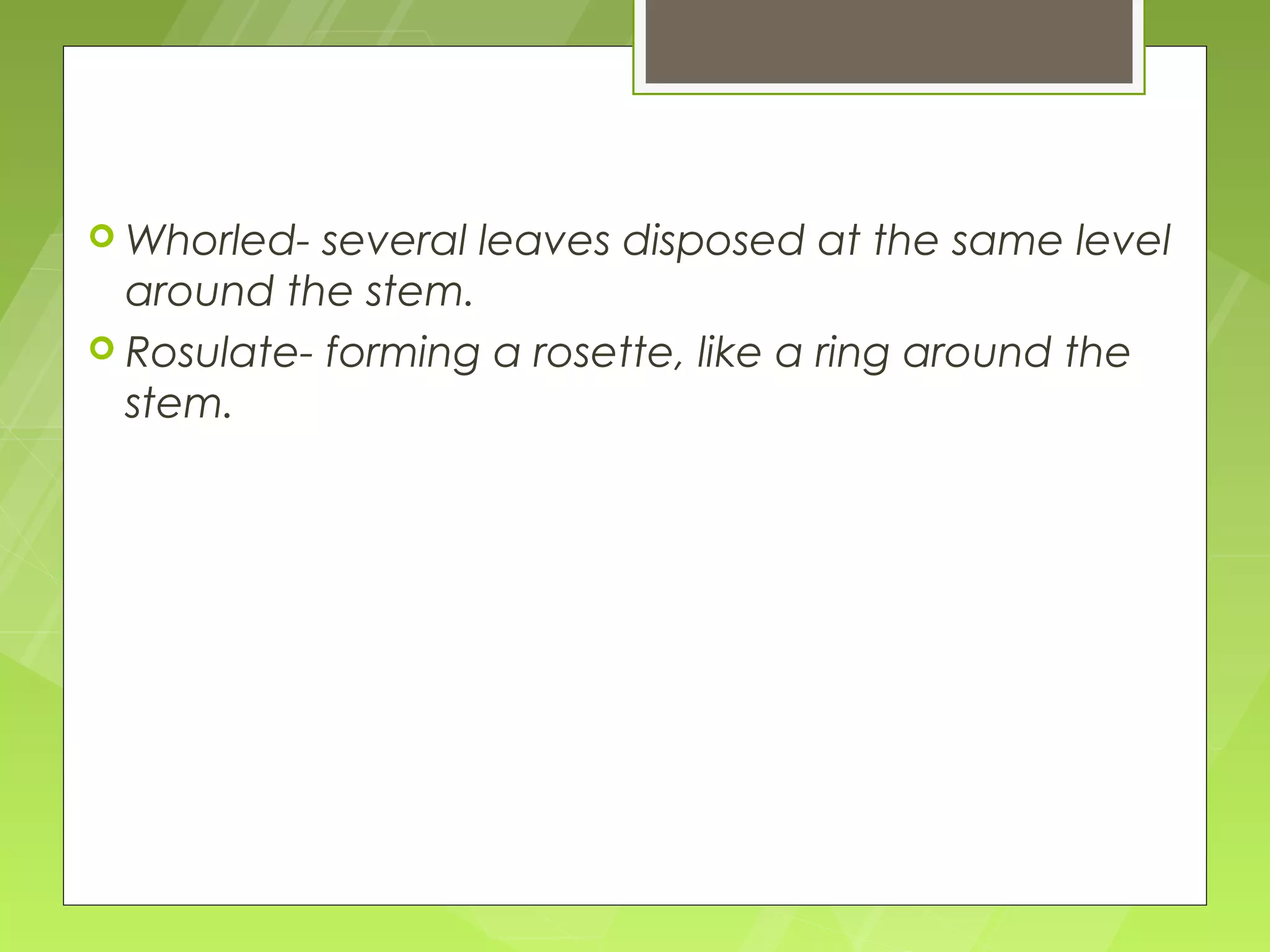 Parts of the plant and their functions | PPT