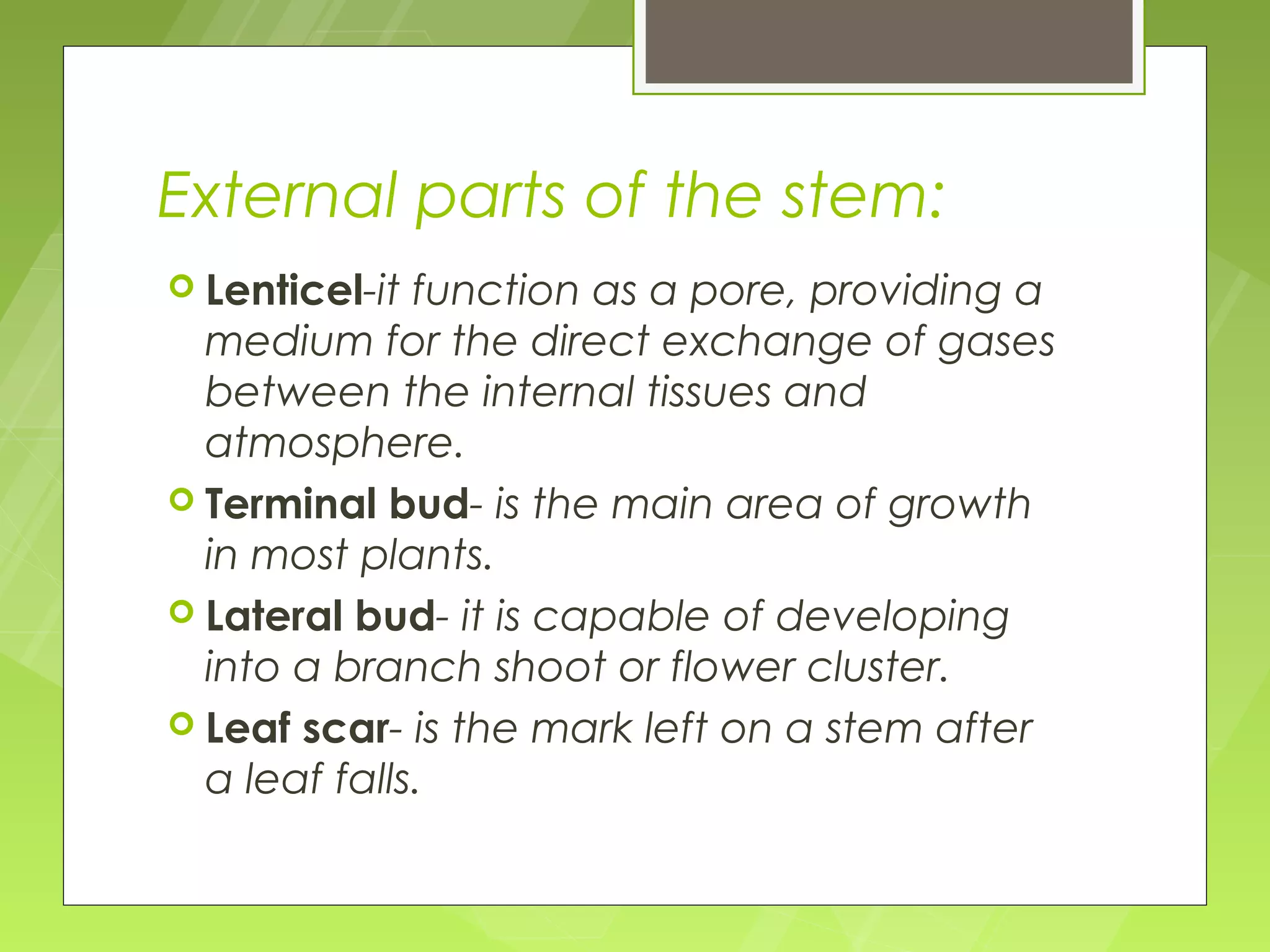 Parts of the plant and their functions | PPT