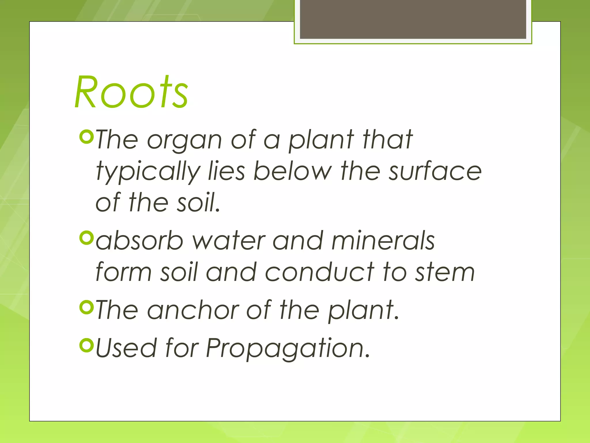 Parts of the plant and their functions | PPT
