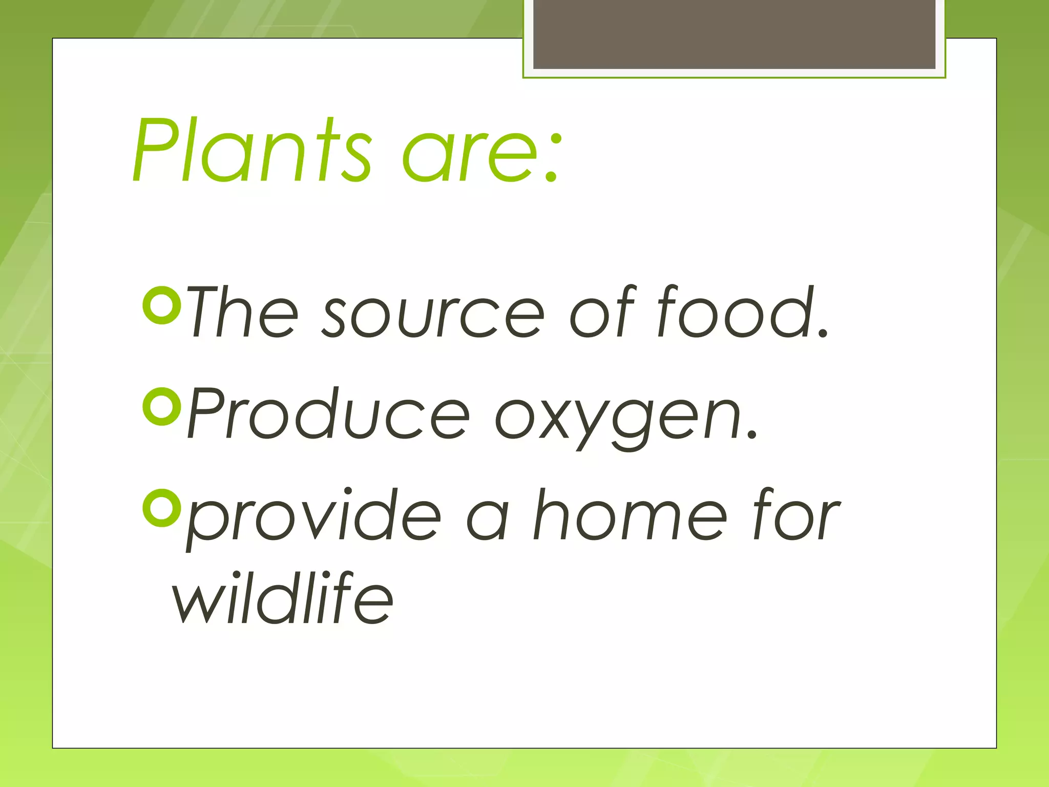 Parts of the plant and their functions | PPT