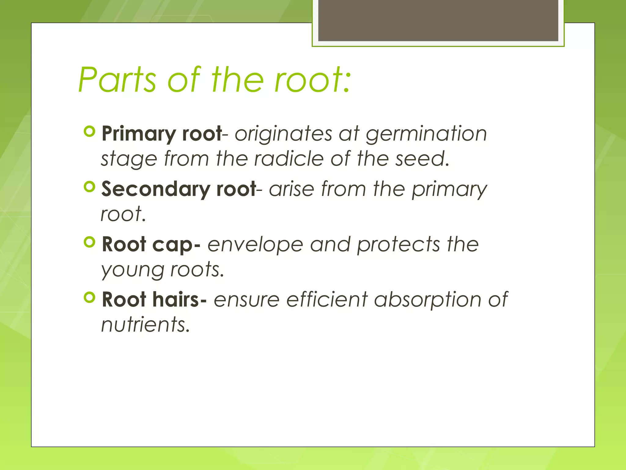 Parts of the plant and their functions | PPT