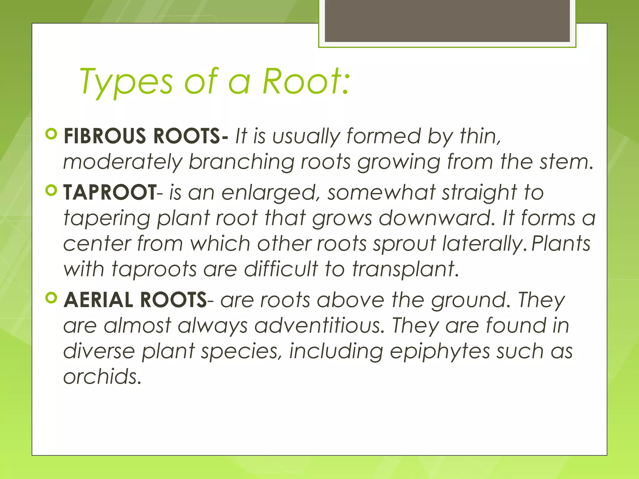 Parts of the plant and their functions | PPT