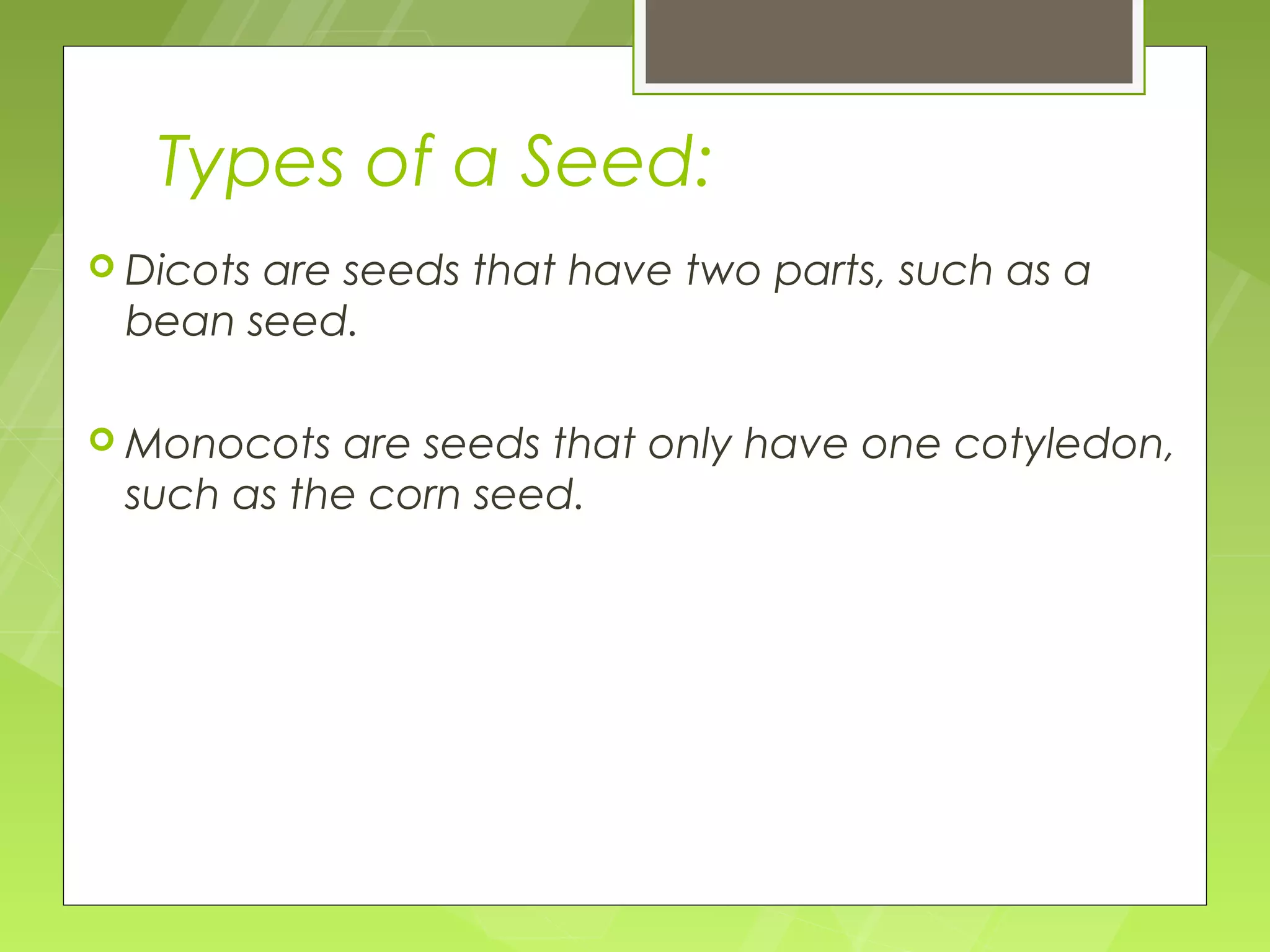 Parts of the plant and their functions | PPT