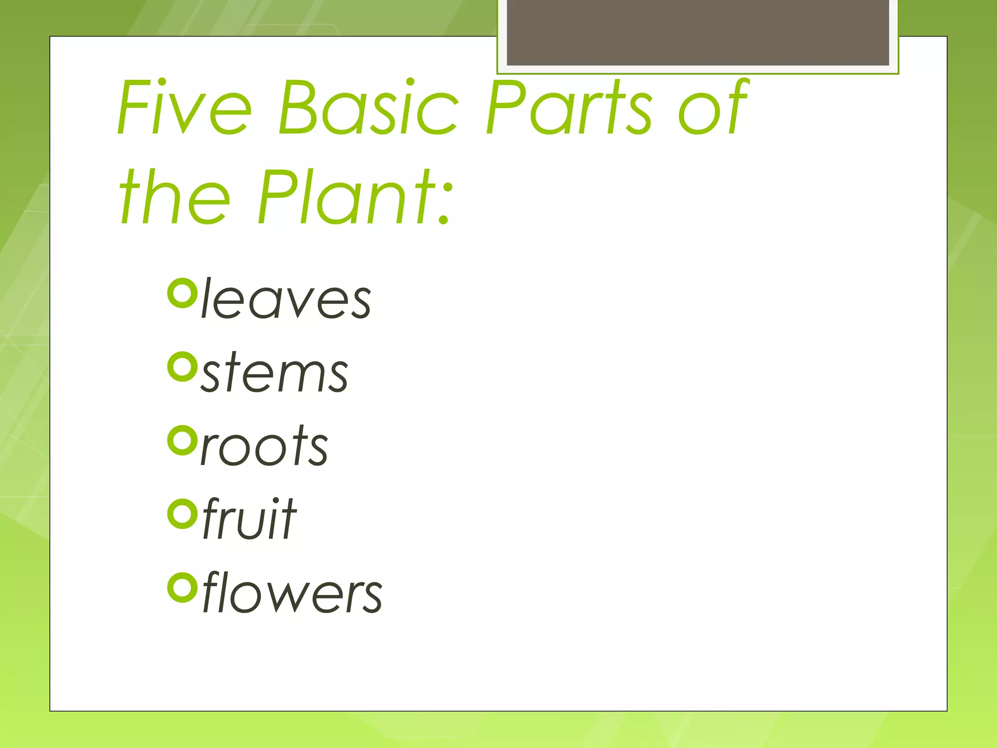 Parts of the plant and their functions | PPT