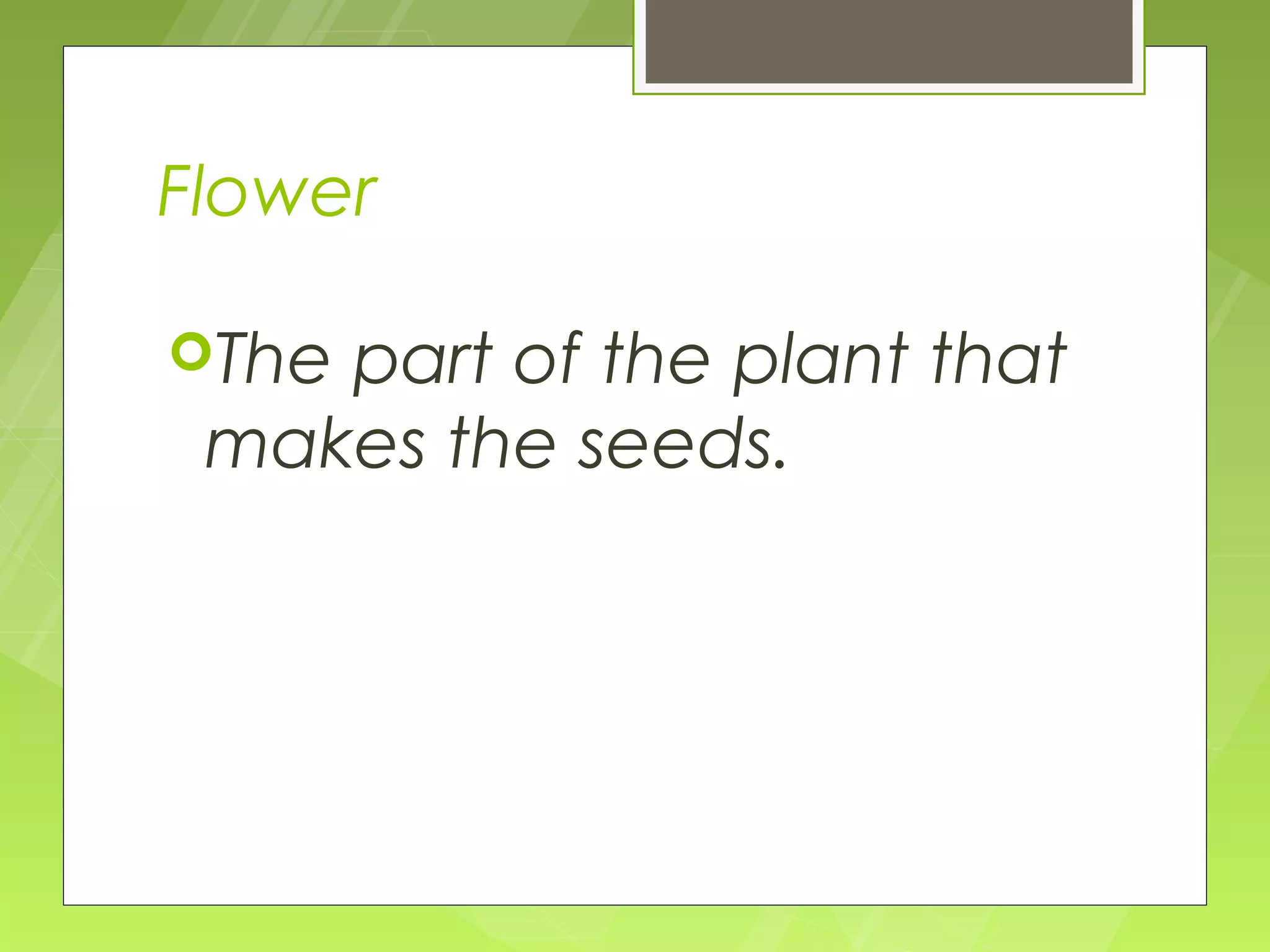 Parts of the plant and their functions | PPT