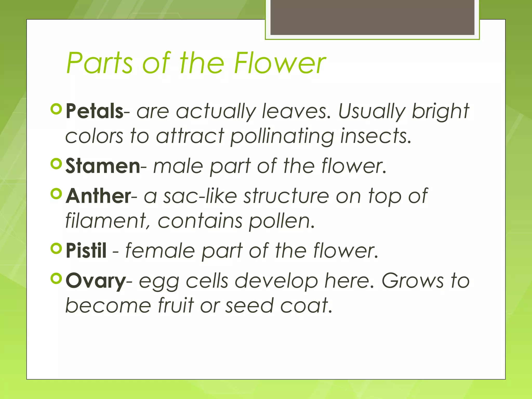 Parts of the plant and their functions | PPT