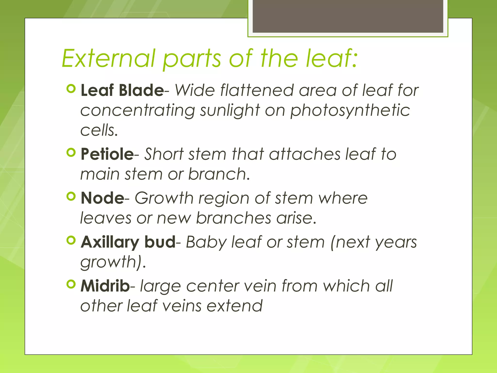Parts of the plant and their functions | PPT