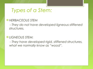 Parts of the plant and their functions | PPT
