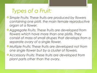 Parts of the plant and their functions | PPT
