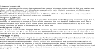 Parts of the Plant Presentation in Green Illustrative Style (4).pptx