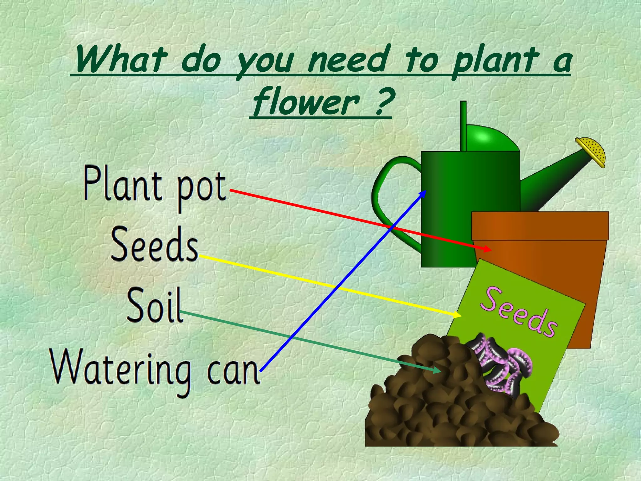 Parts of the plants | PPT