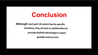 parts of the plants123.pptx ppppppppppppp | PPT