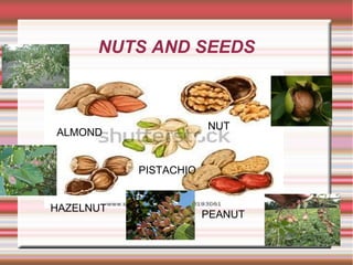 Parts of the plant we eat | ODP