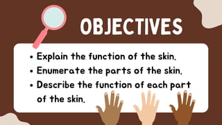 Parts of the Skin Science Presentation in Colorful Illustrative Style.pdf