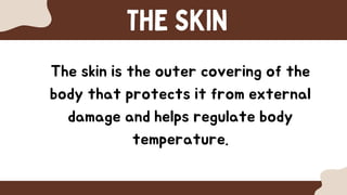 Parts of the Skin Science Presentation in Colorful Illustrative Style.pdf