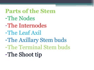 Elementaryscincegrade123parts of the stem.pptx