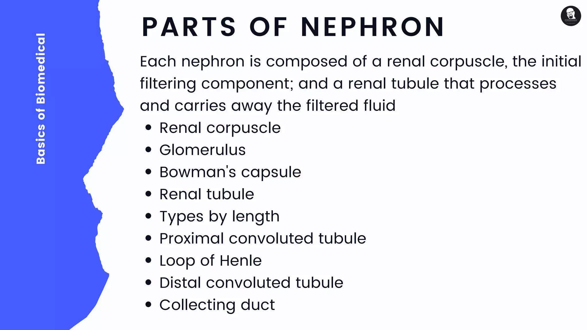 Parts, structure and functions of nephron | PDF