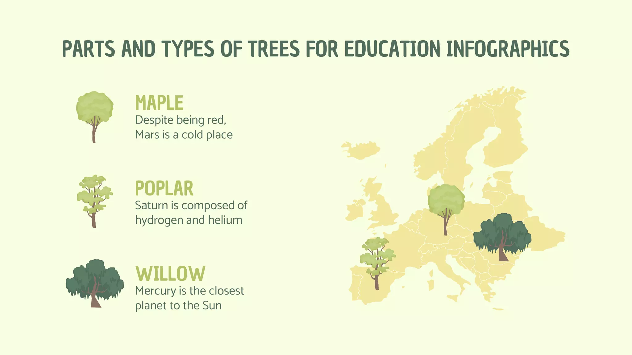 Parts & Types of Trees for Education Infographics by Slidesgo.pptx