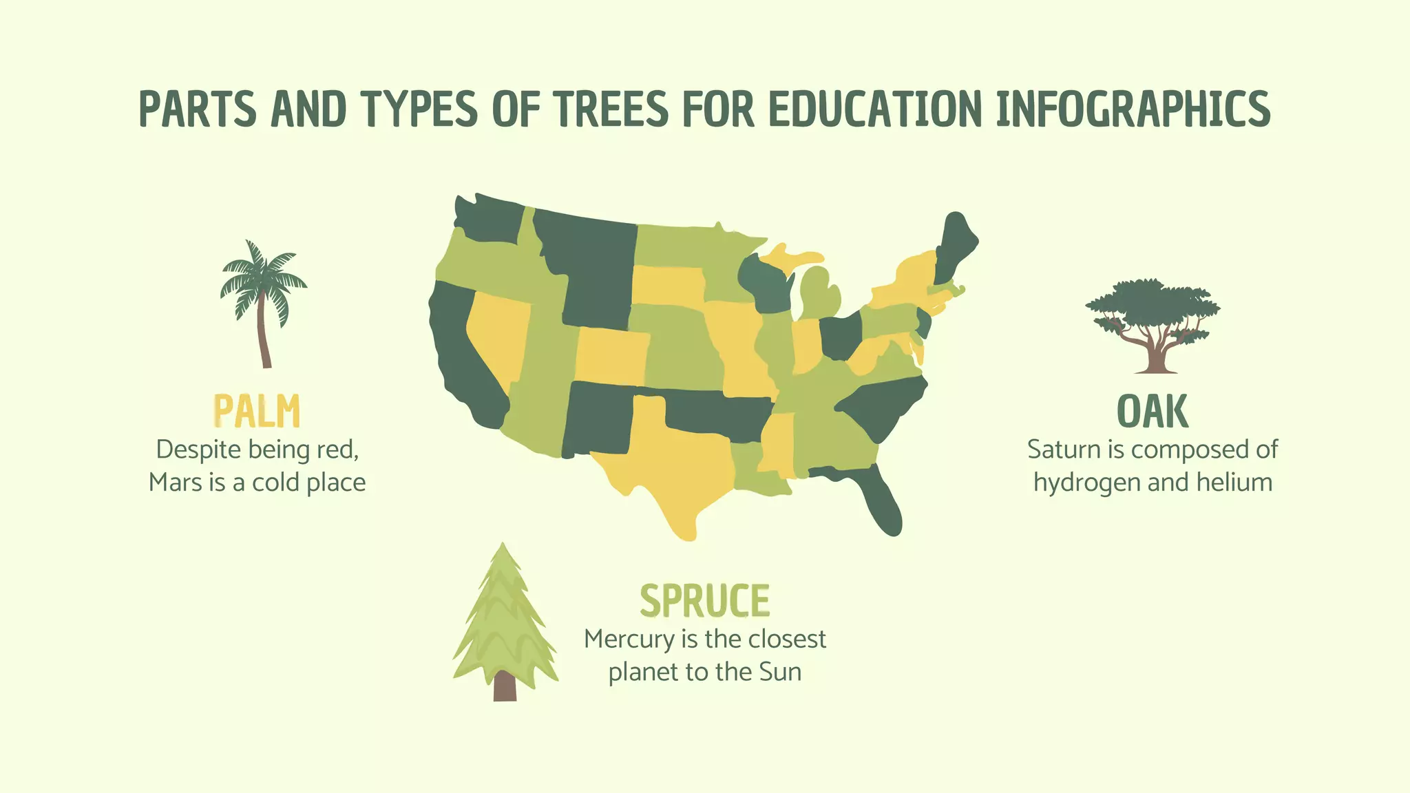 Parts & Types of Trees for Education Infographics by Slidesgo.pptx