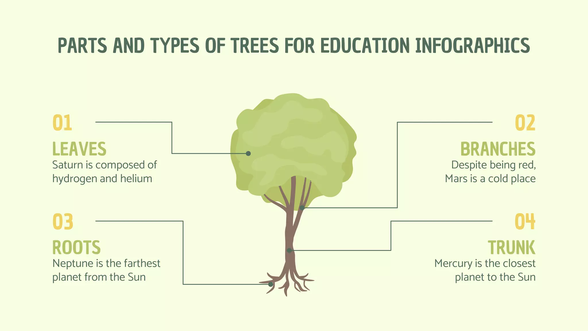 Parts & Types of Trees for Education Infographics by Slidesgo.pptx