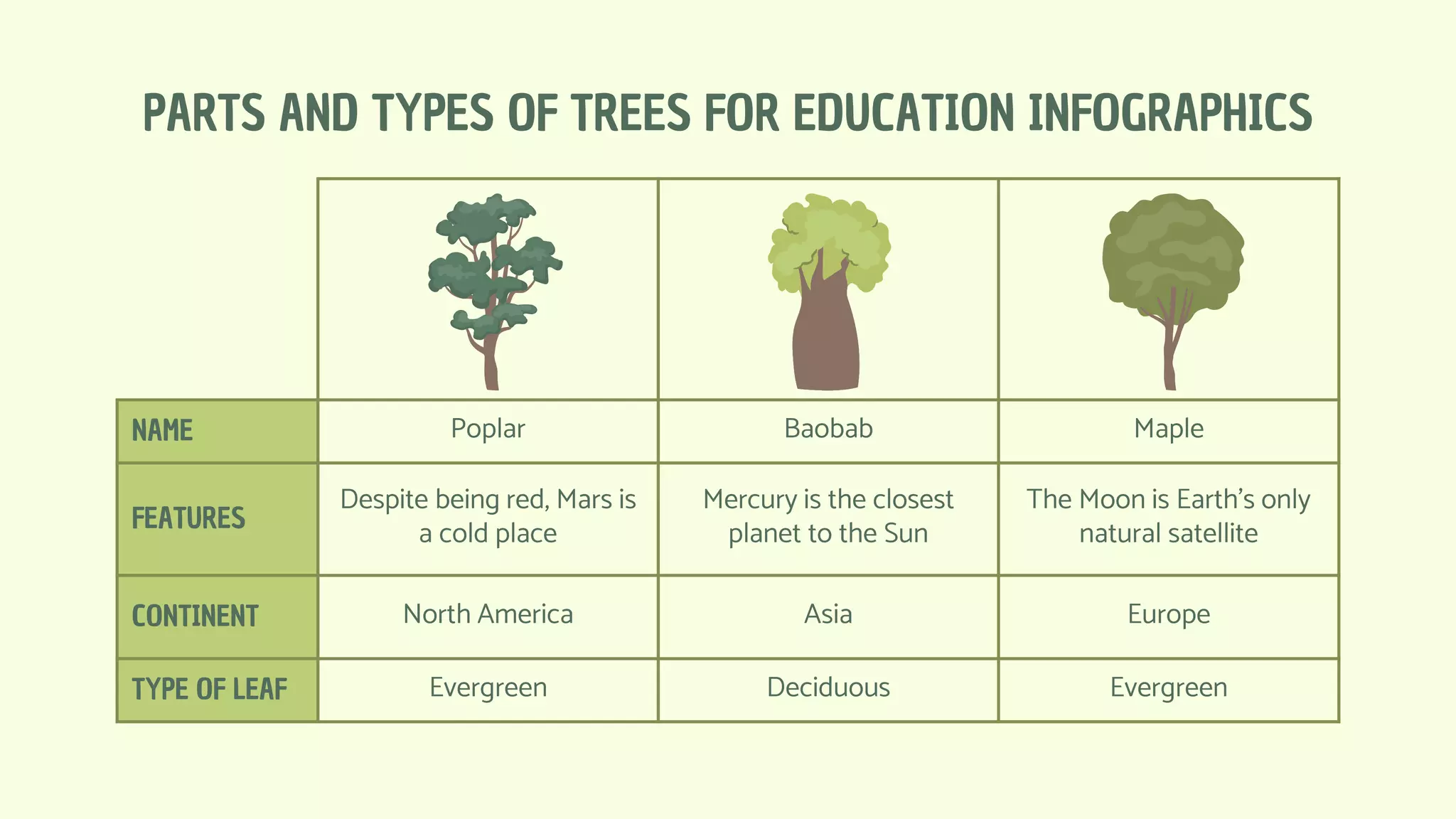 Parts & Types of Trees for Education Infographics by Slidesgo.pptx