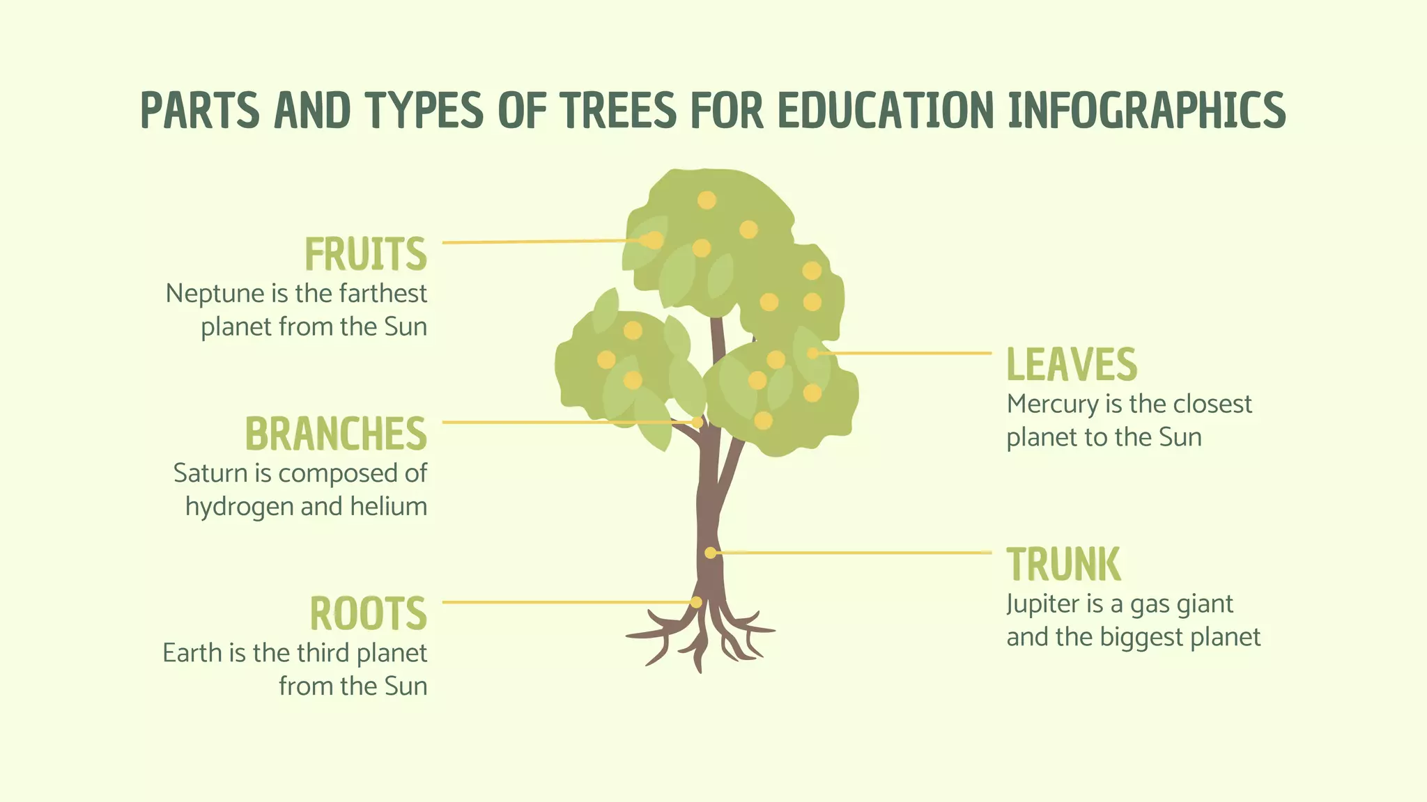 Parts & Types of Trees for Education Infographics by Slidesgo.pptx