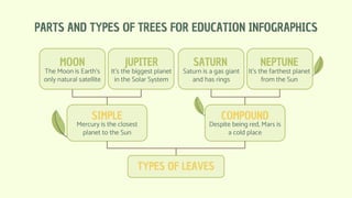Parts & Types of Trees for Education Infographics by Slidesgo.pptx