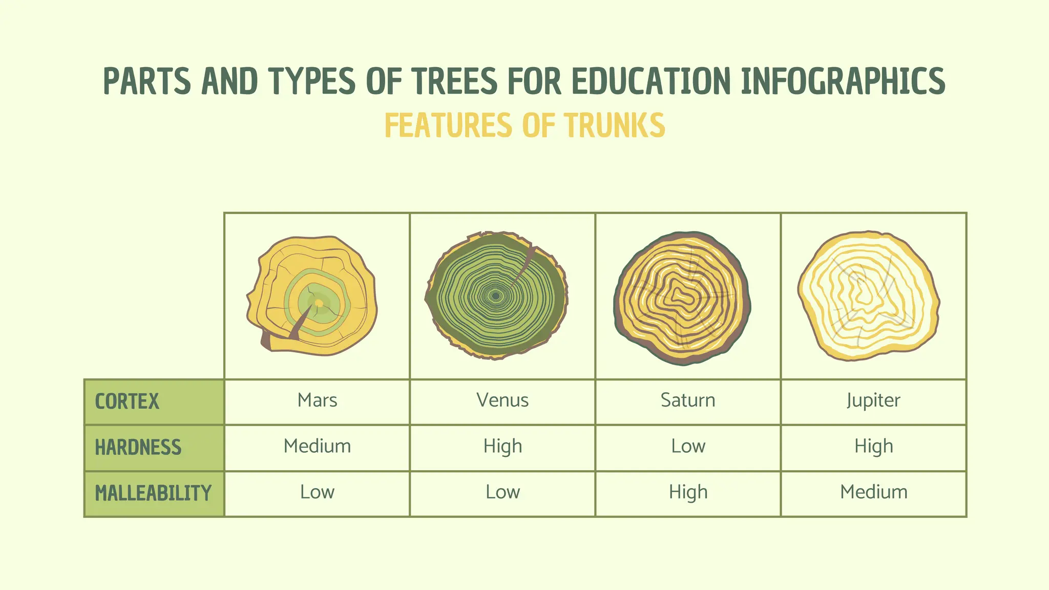 Parts & Types of Trees for Education Infographics by Slidesgo.pptx