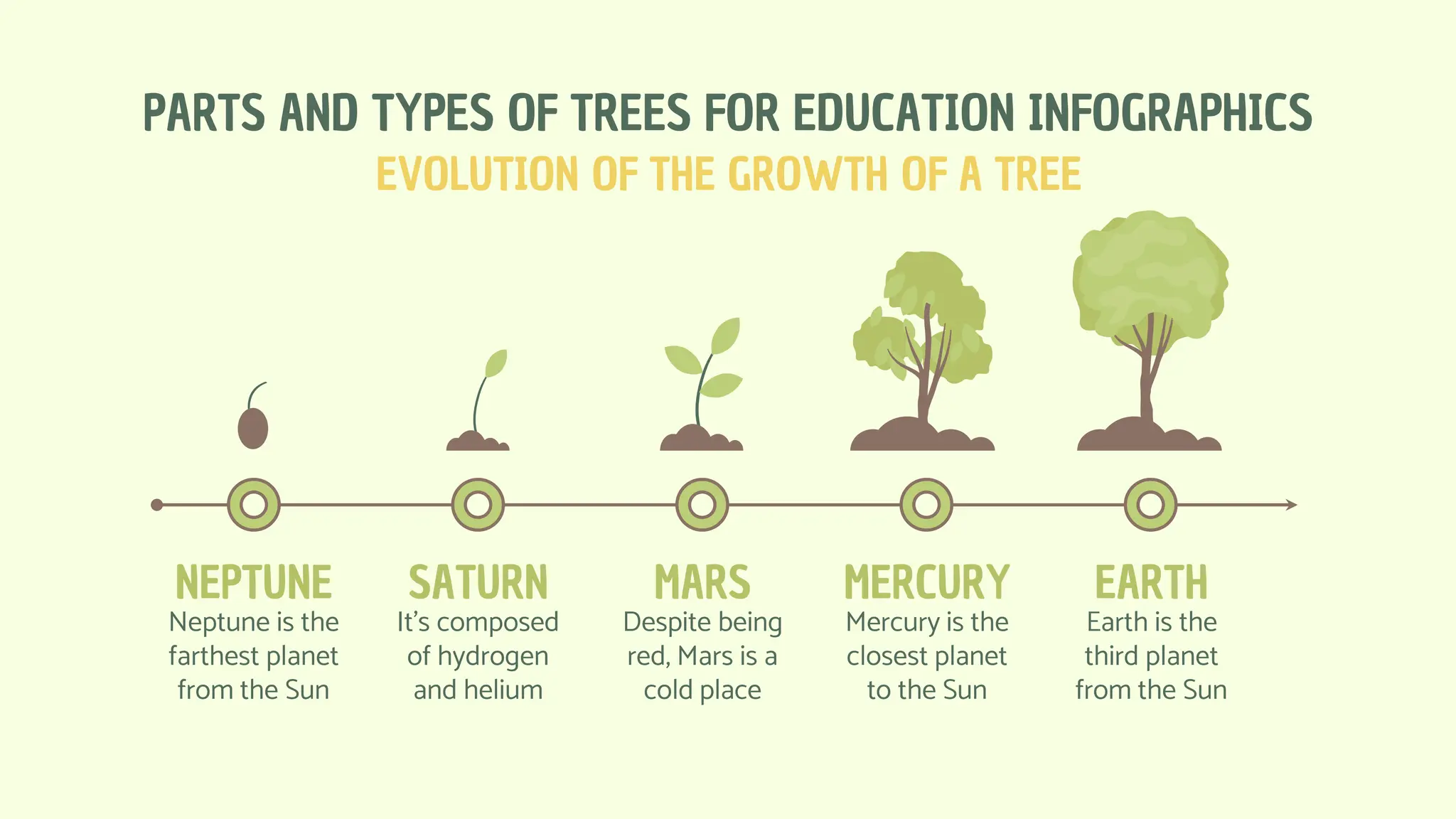 Parts & Types of Trees for Education Infographics by Slidesgo.pptx