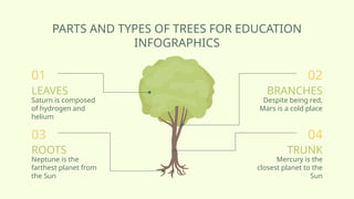 Parts & Types of Trees for Education Infographics by Slidesgo.pptx