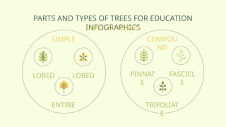 Parts & Types of Trees for Education Infographics by Slidesgo.pptx