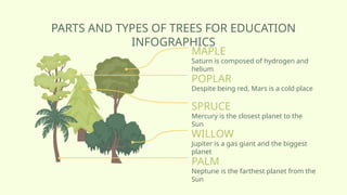 Parts & Types of Trees for Education Infographics by Slidesgo.pptx