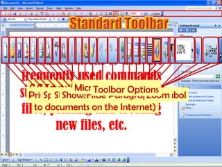 MS Word Window Elements | PPS