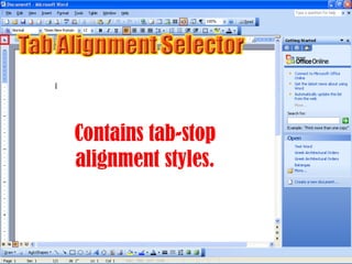 MS Word Window Elements | PPS