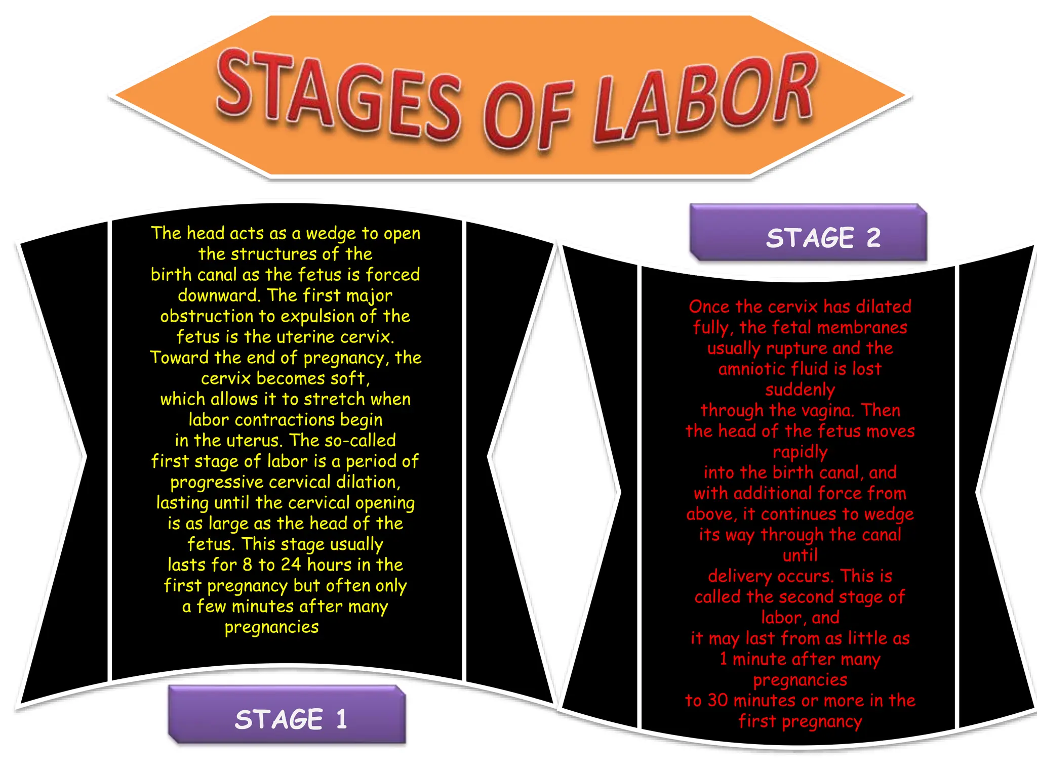 The given Powerpoint presentation is about Parturition | PPTX