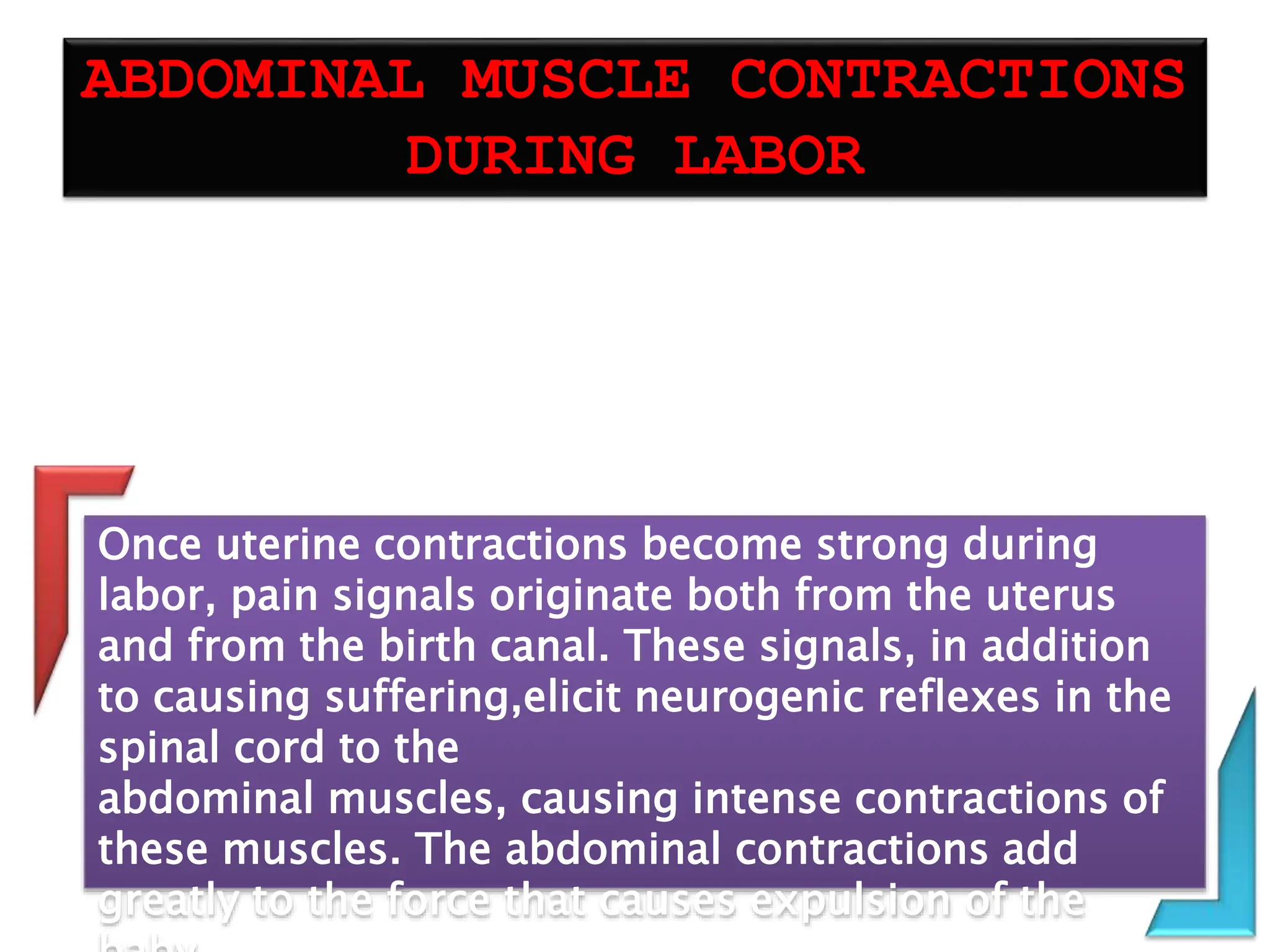 The given Powerpoint presentation is about Parturition | PPTX