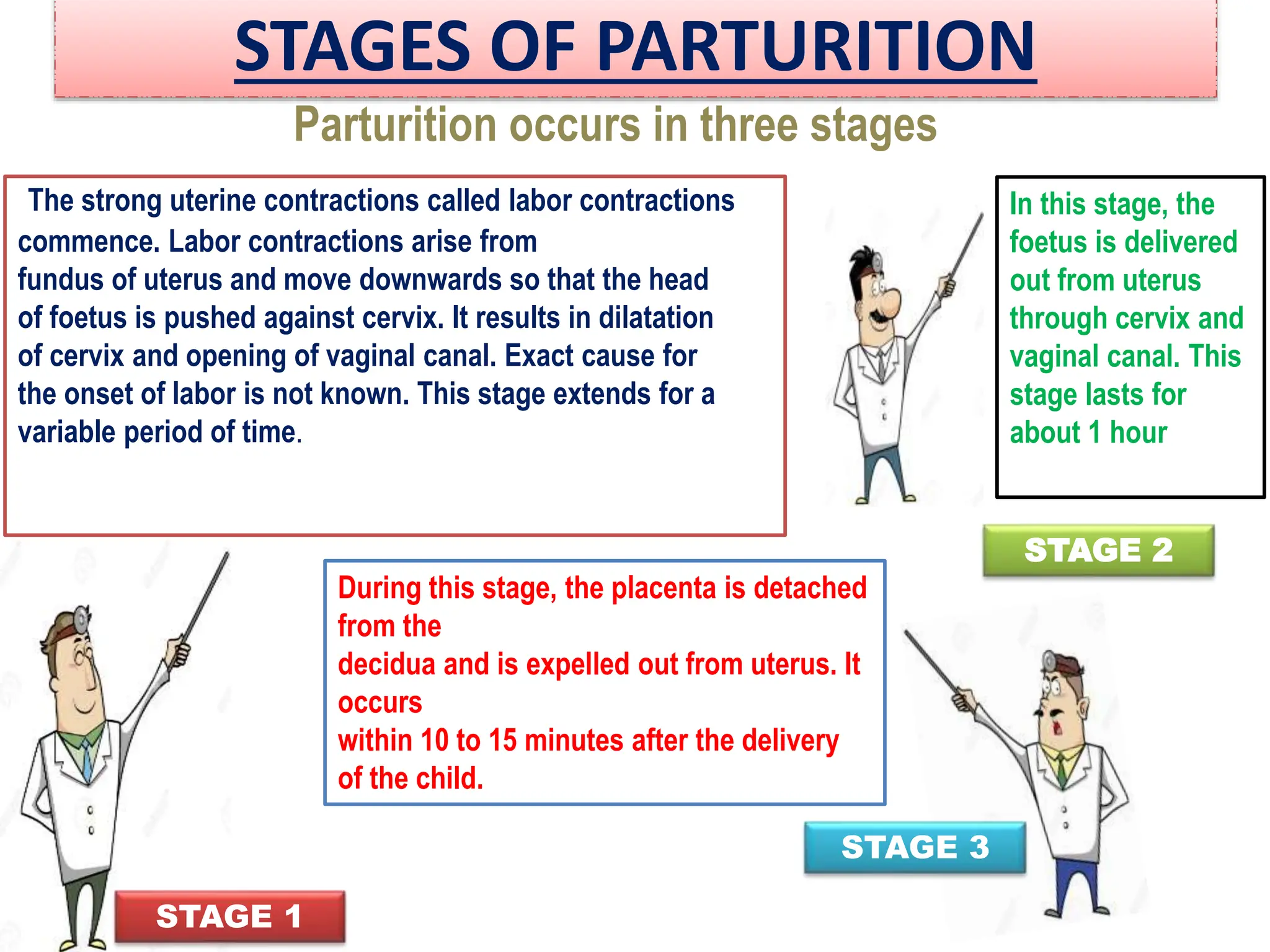 The given Powerpoint presentation is about Parturition | PPTX
