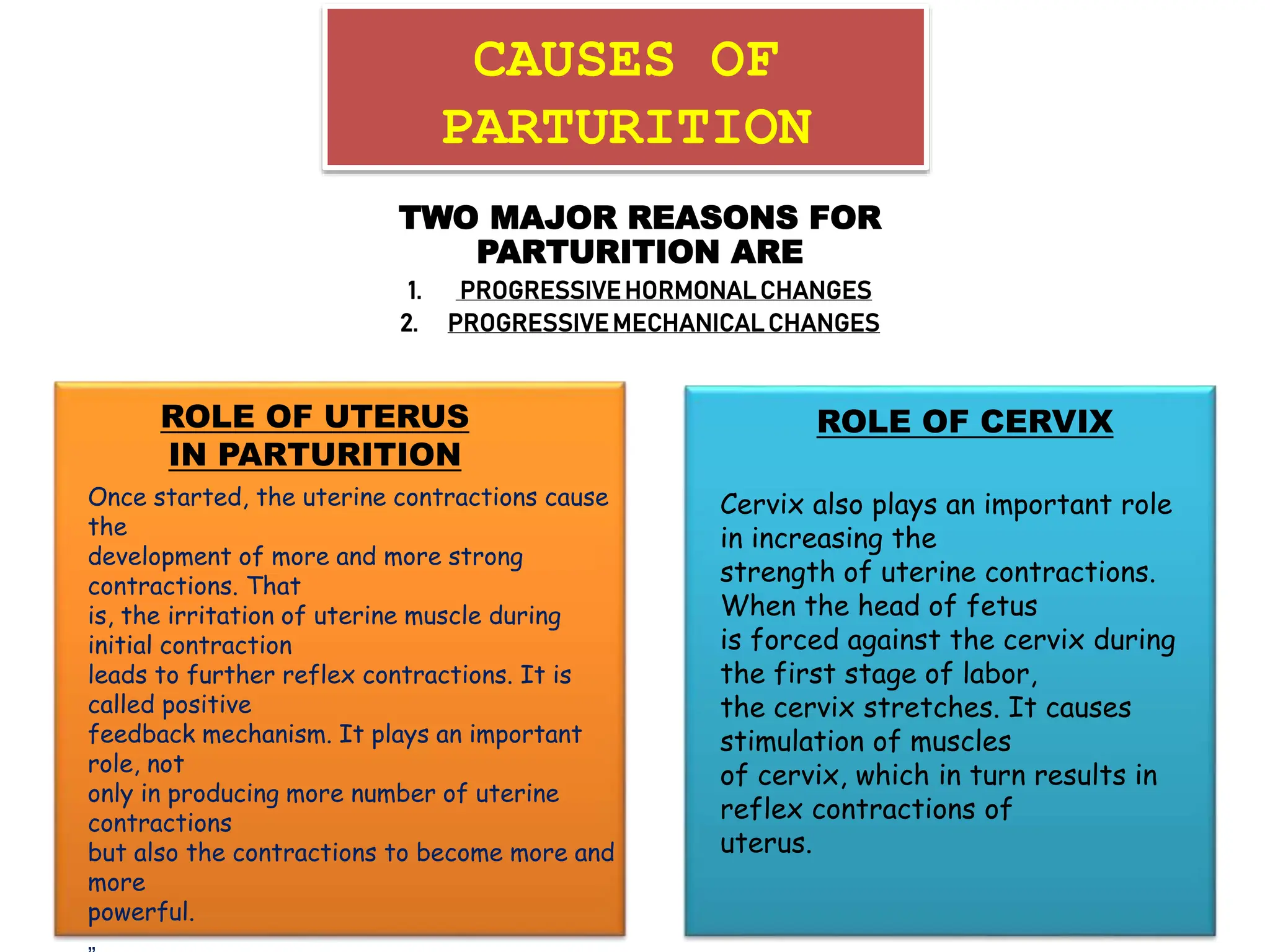 The given Powerpoint presentation is about Parturition | PPTX