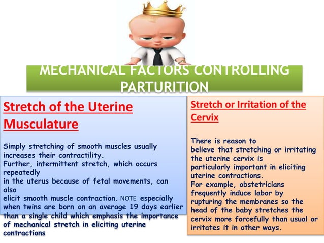 The given Powerpoint presentation is about Parturition | PPT