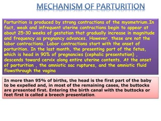 The given Powerpoint presentation is about Parturition | PPTX