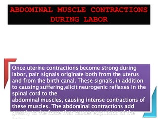 The given Powerpoint presentation is about Parturition | PPTX