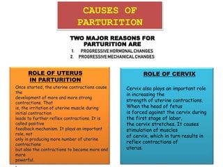 The given Powerpoint presentation is about Parturition | PPTX