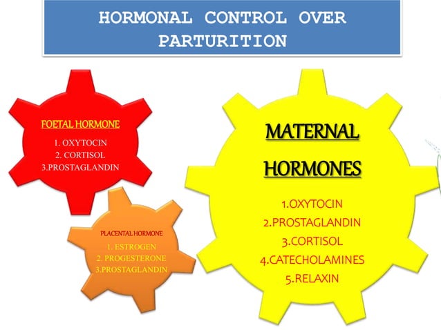 The given Powerpoint presentation is about Parturition | PPT