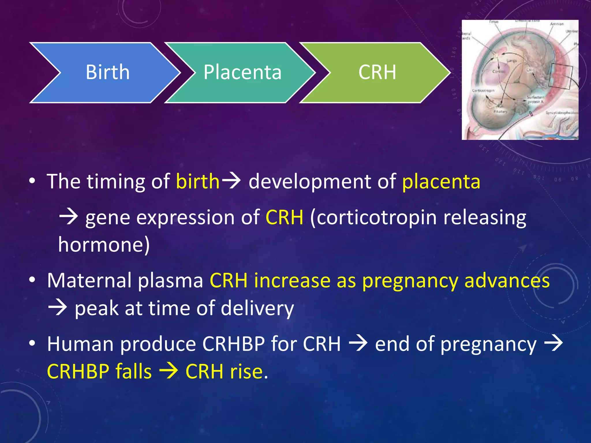Parturition | PPTX