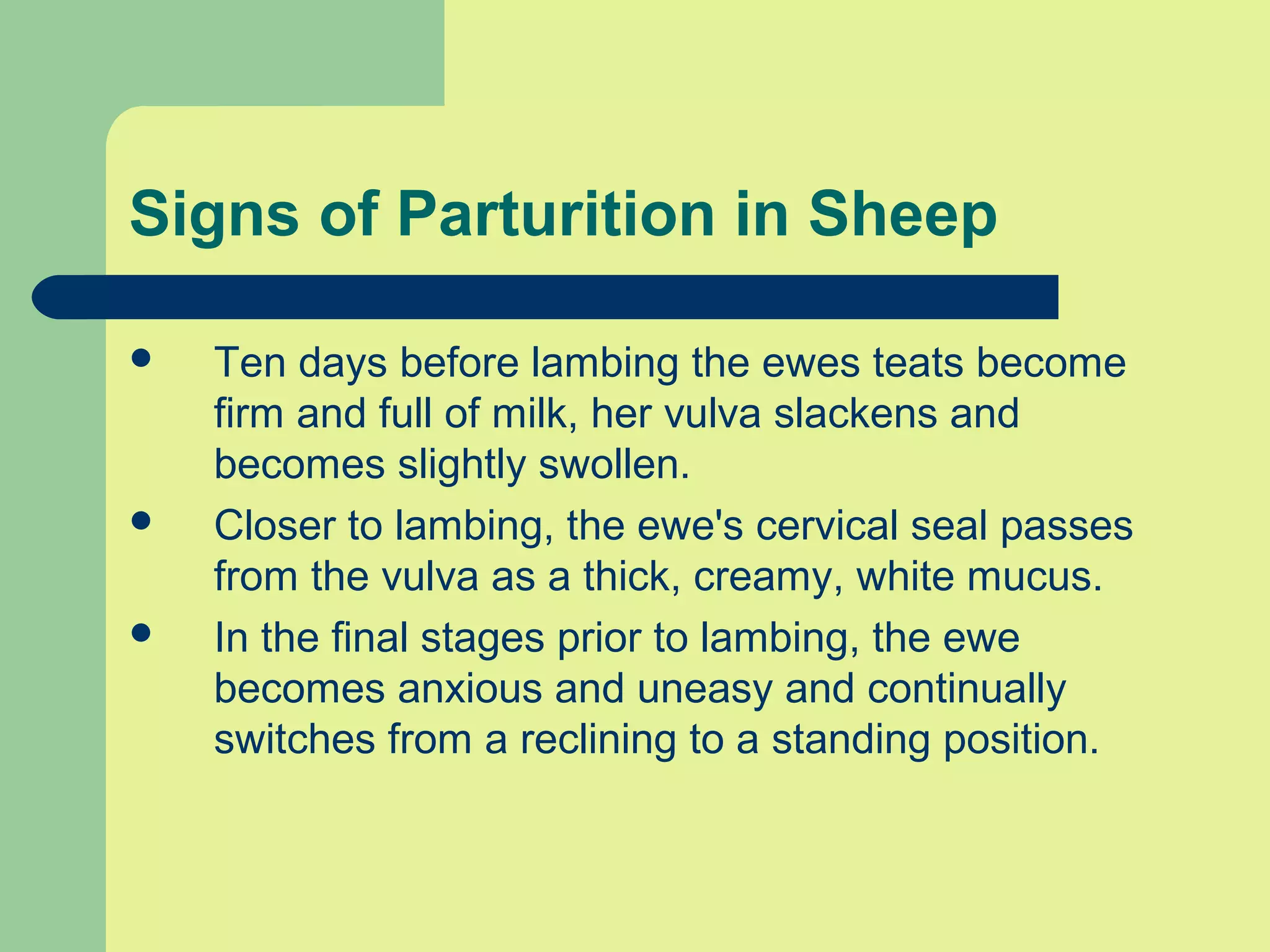 Parturition | PPT