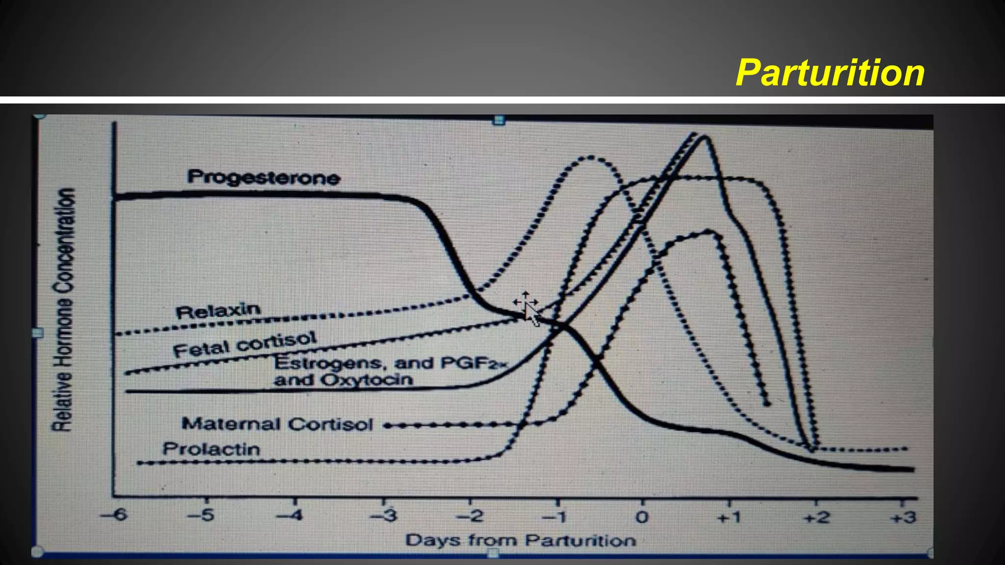 Parturition in animals | PPTX