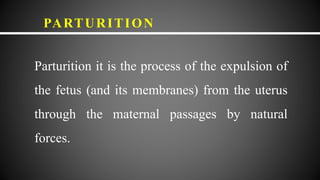 Parturition in animals | PPTX